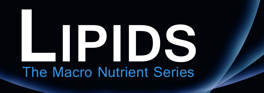 Macro Nutrients Part 2: Lipids (aka Fats) – A Dash of Science