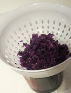 Color-Changing Cabbage Experiment – A Dash of Science